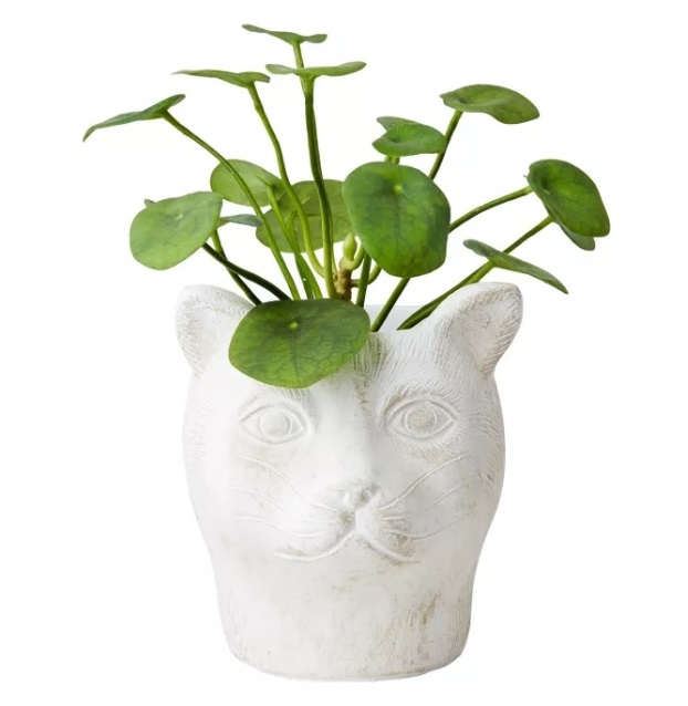 Kruka Katt vit betong rustik lantlig stil Gårdsromantik - www ...