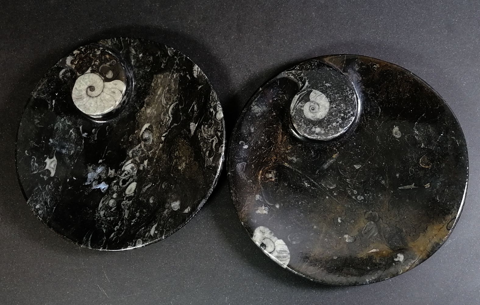 Stengarden.com - Runt Stenfat med Amoniter och Orthoceratiter - 14 cm