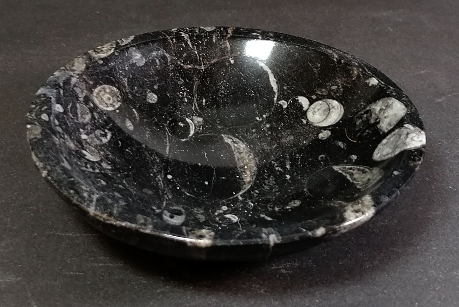 Stengarden.com - Rund Fossil Sten Skål med Amoniter och Orthoceratiter ...