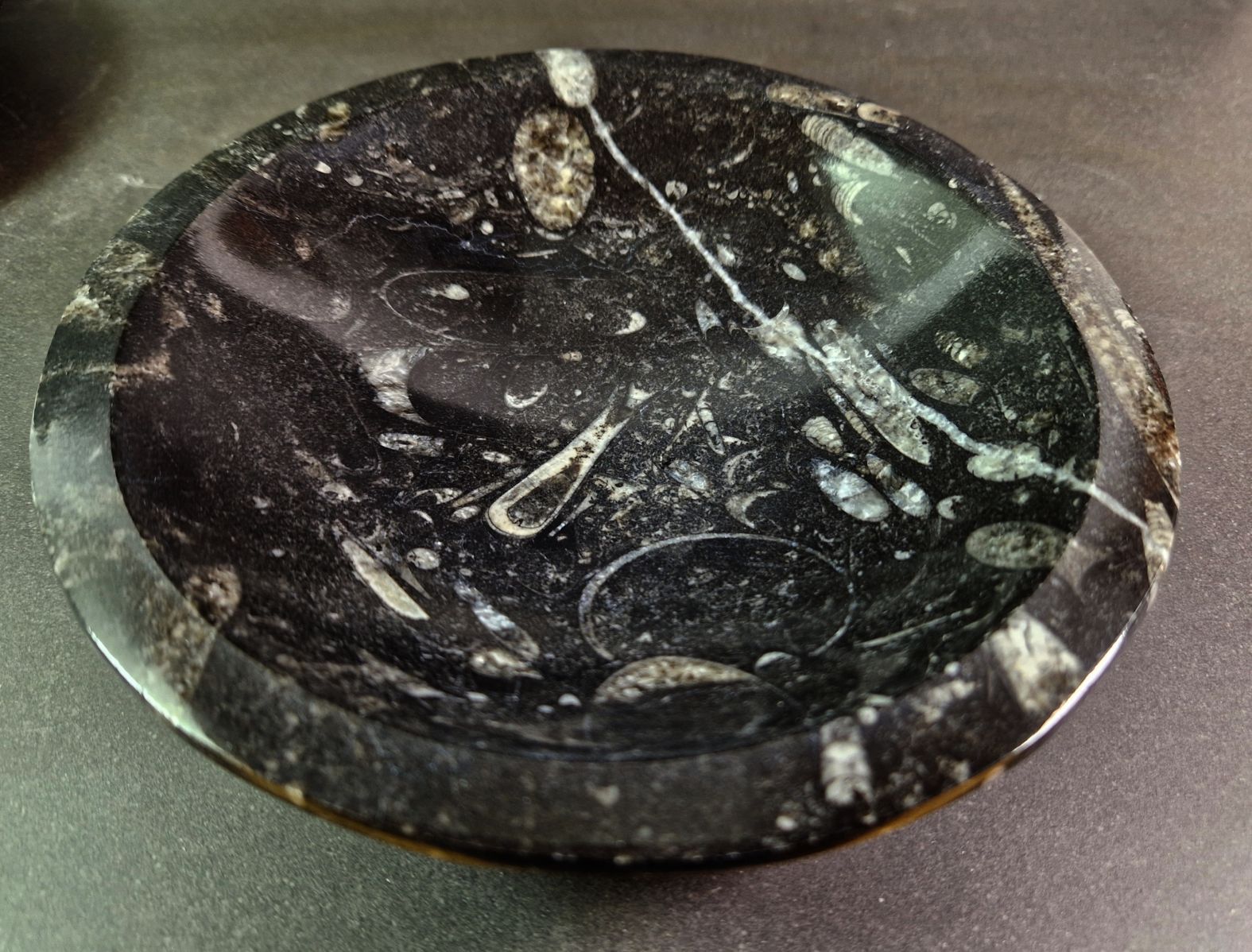 Stengarden.com - Rund Fossil Sten Skål med Amoniter och Orthoceratiter ...