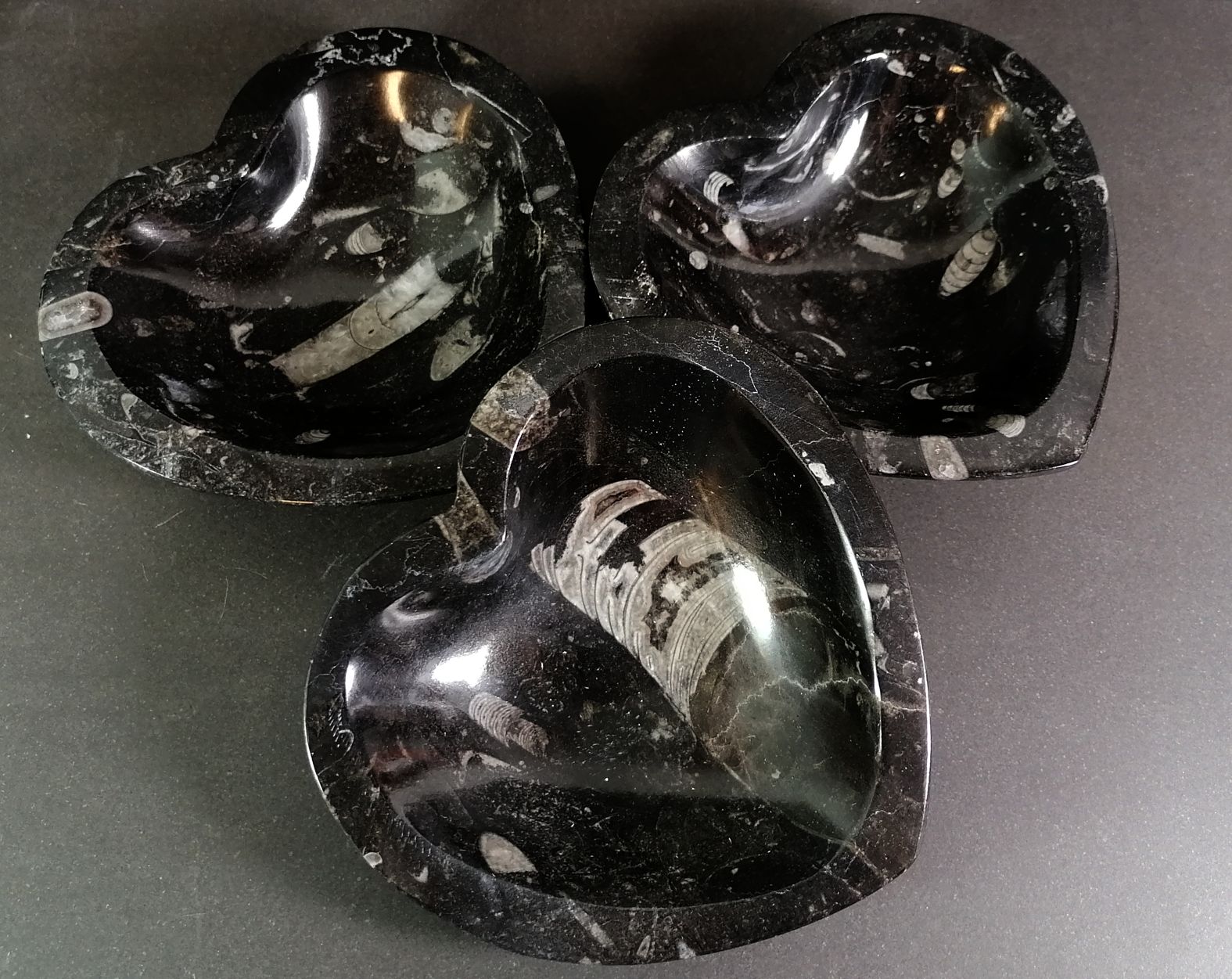 Stengarden.com - Hjärtformad Fossil Sten Skål med Amoniter och ...