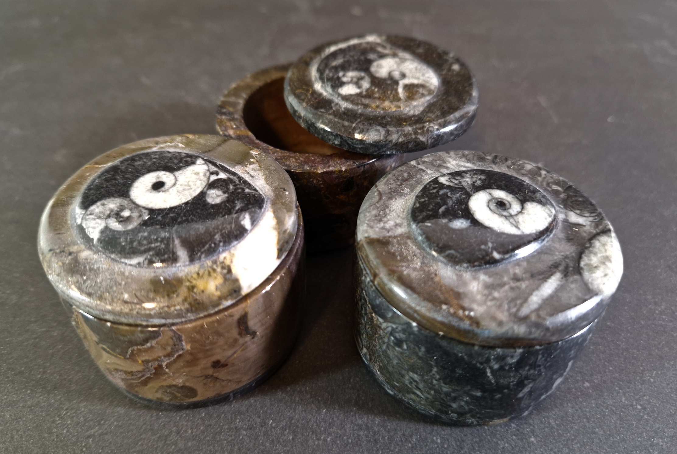 Stengarden.com - Liten Ask i Fossil sten