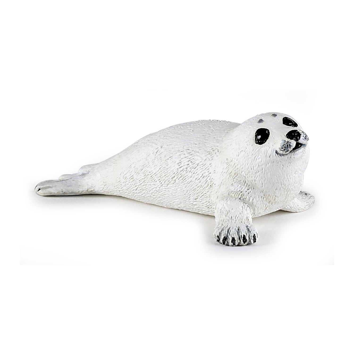 Baby Seal - Kalikå