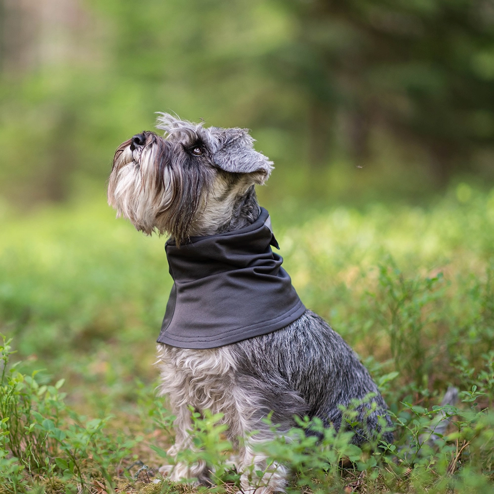 Pomppa Huppu | Tubhalsduk till hund