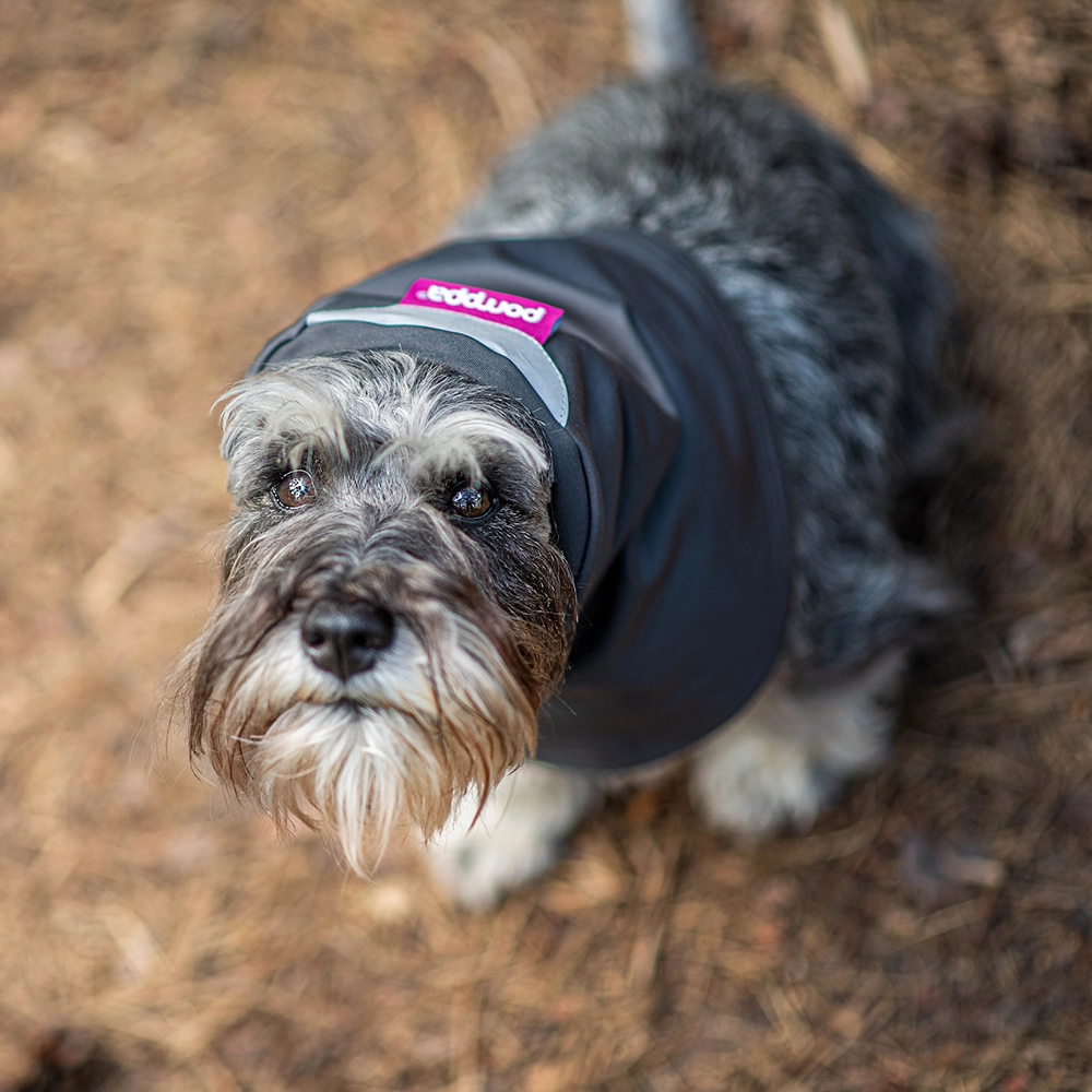 Pomppa Huppu | Tubhalsduk till hund