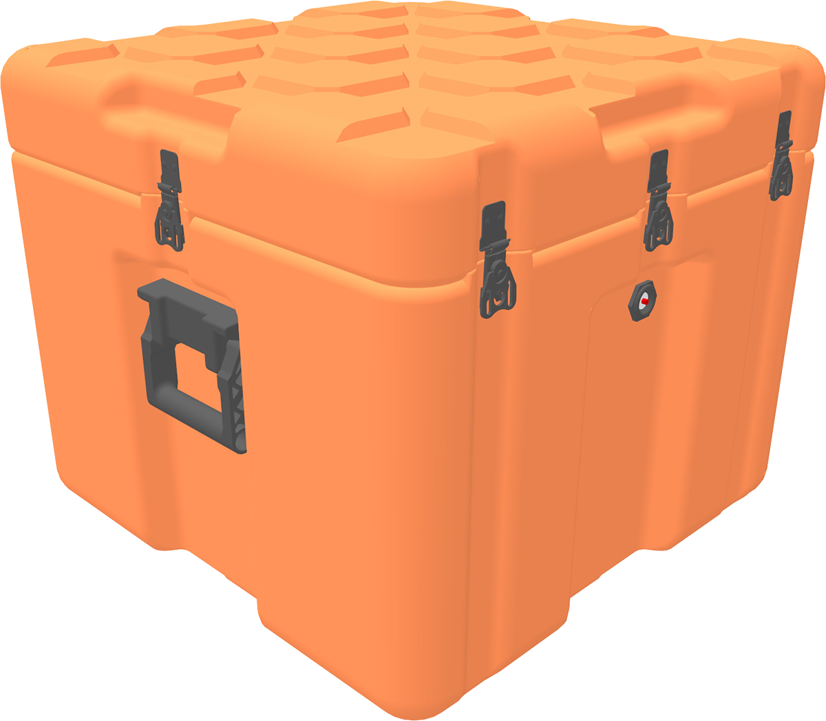 ISP2 EU060060-4010 - Nordicase