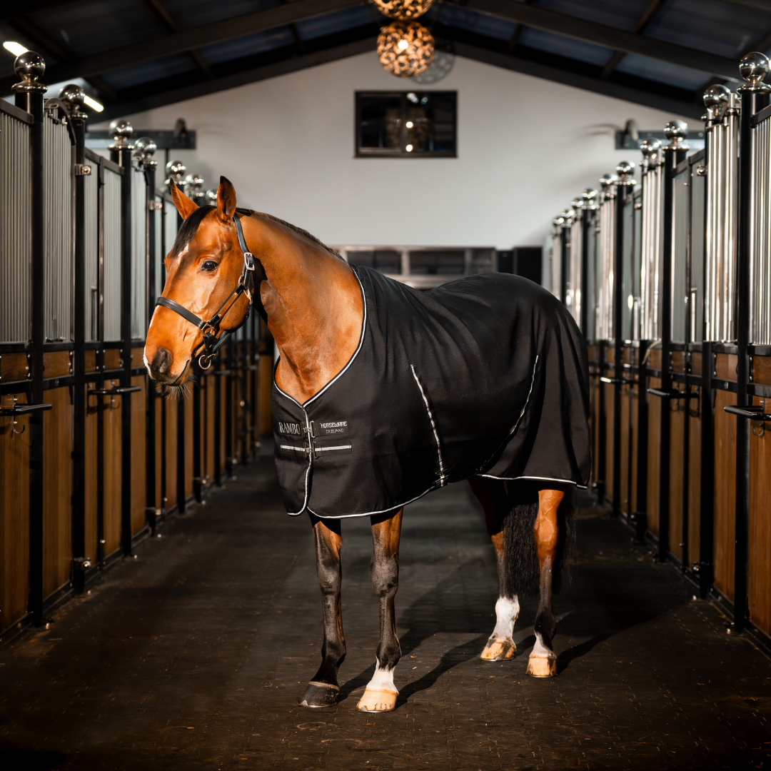 RAMBO STABLE SHEET - Strömsbergsgård