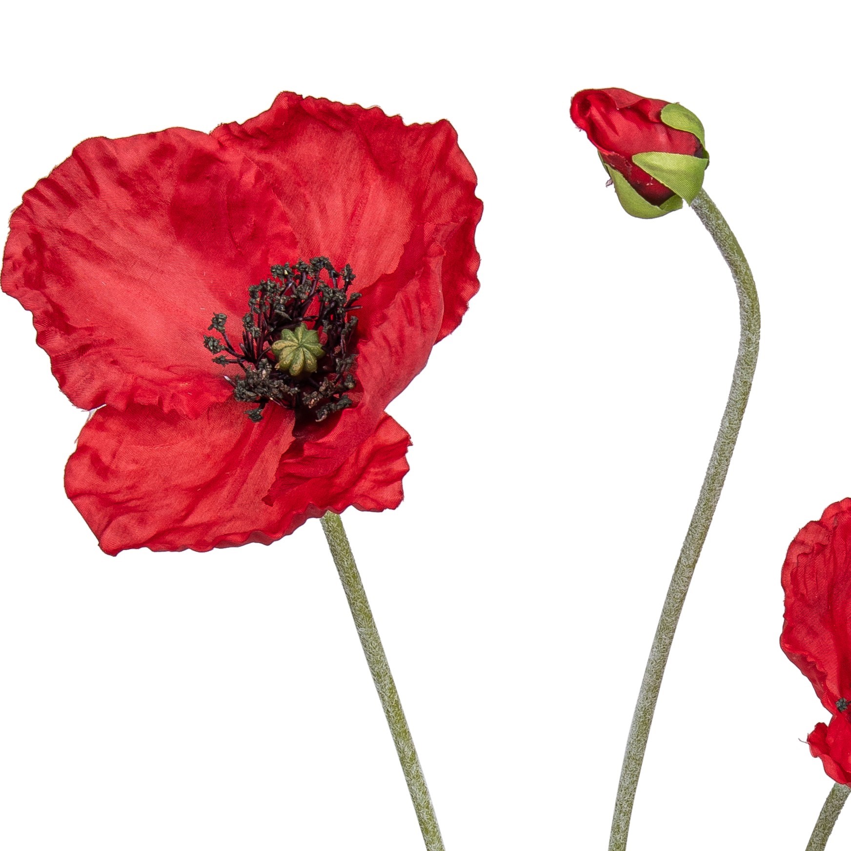 drömhuset - Sidenblommor