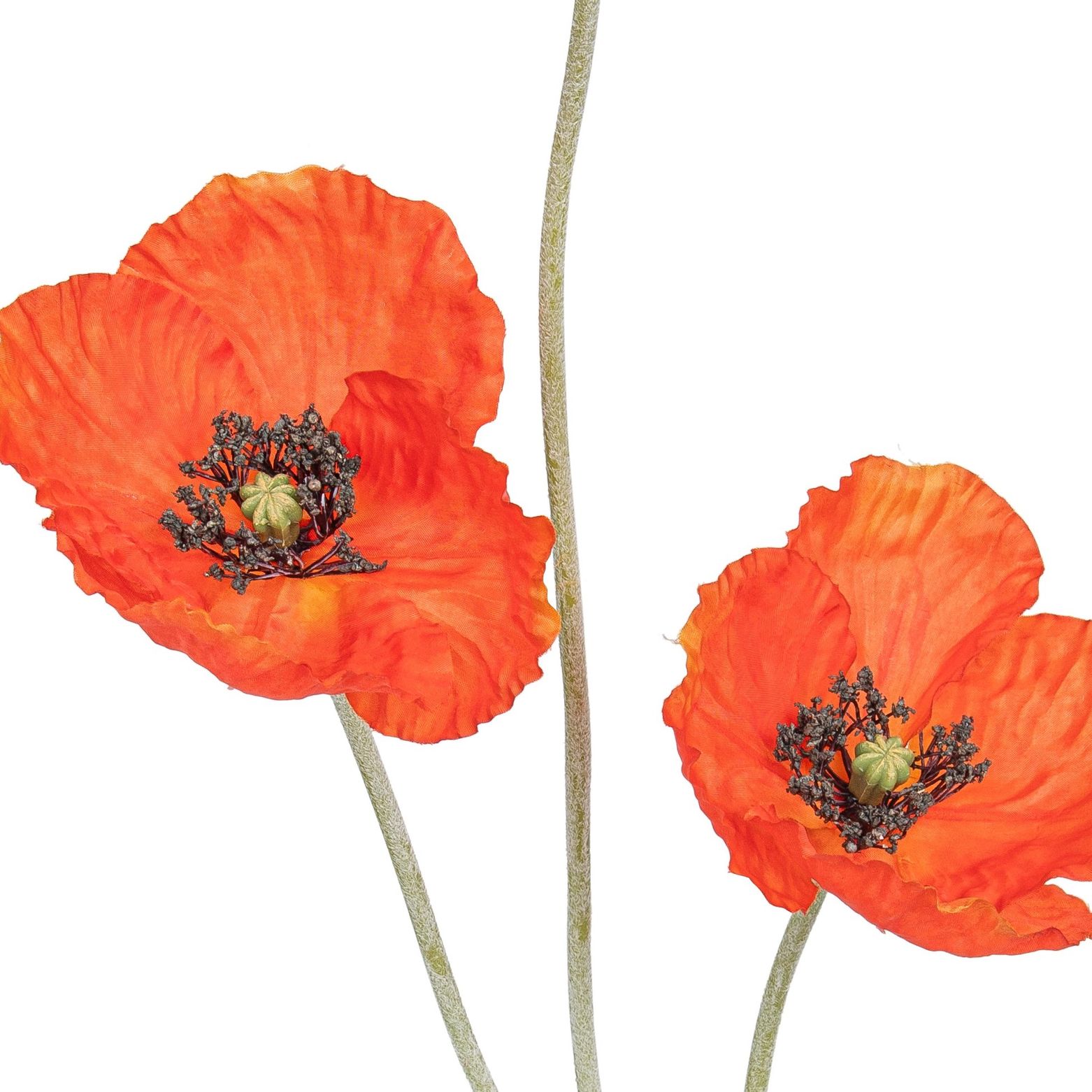 drömhuset - Sidenblommor