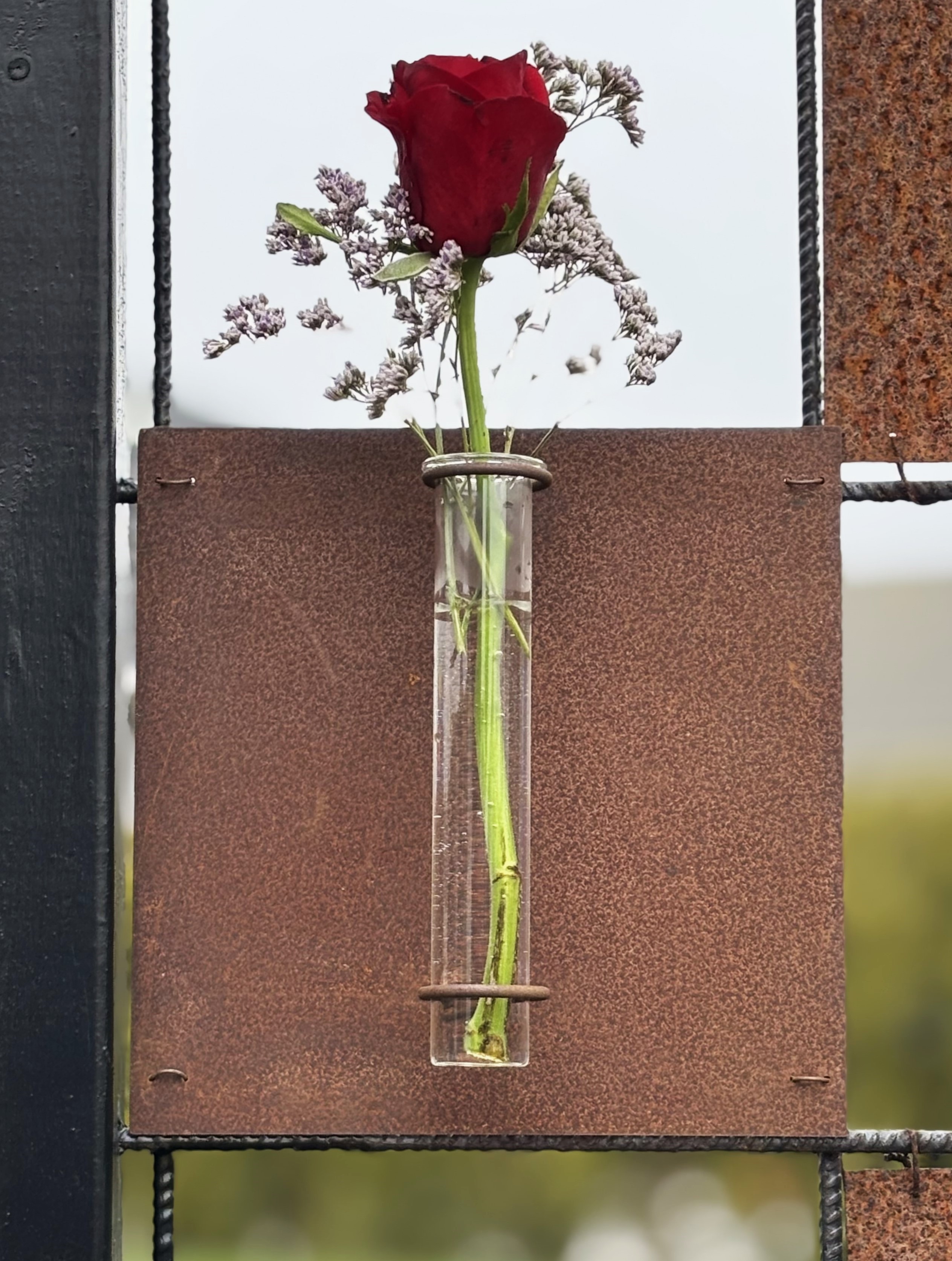 Vas till armeringsnät (reservglas finns 8401)/6 ST PER FÖRP - Lind ...