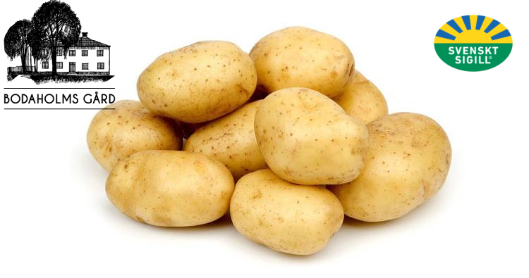 Tvättad fast potatis Bodaholms Gård ca 10 kg - Skafferiet i Väst