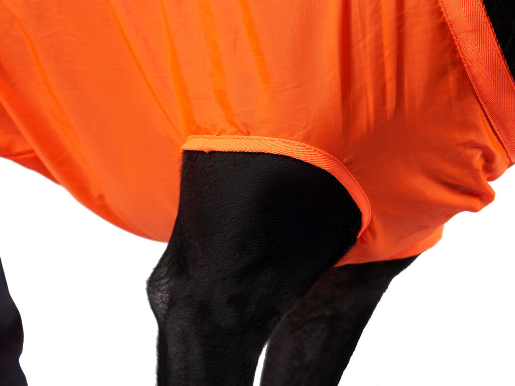 💬1 - Non-stop Dogwear Dog Rescue Sling - Oransje - Petster Norge