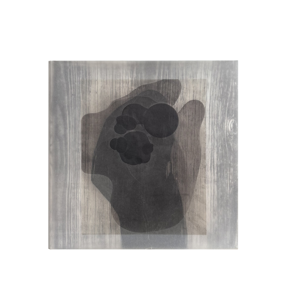 Andreas Eriksson & Edvard Munch: Ta vid - Konst/ig Books