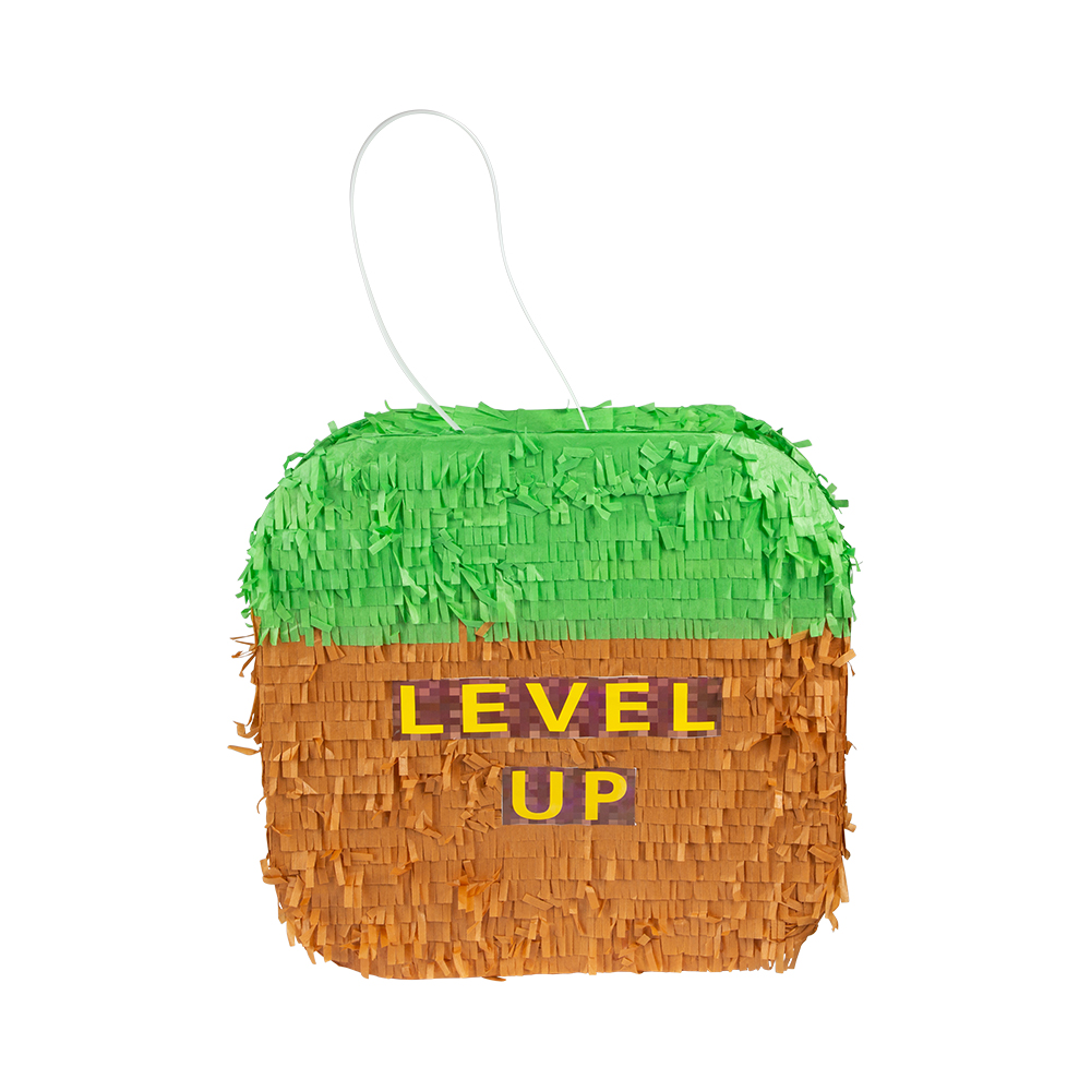 Pinata Minecraft Level Up - Robbis Hobby Shop