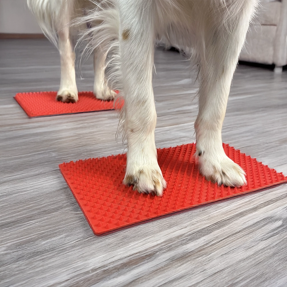 Target mat with spikes | With small bumps