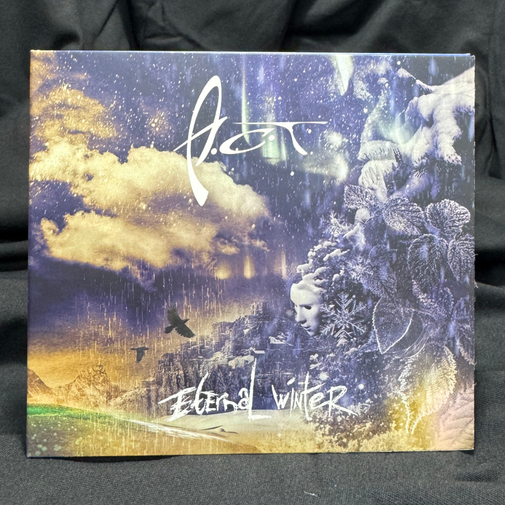 Eternal Winter - A C T W O R L D