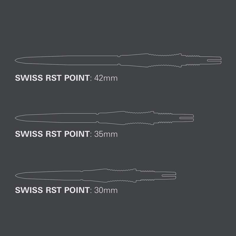 Target Signature Swiss Points RST Silver 30mm - Dartstore Sweden
