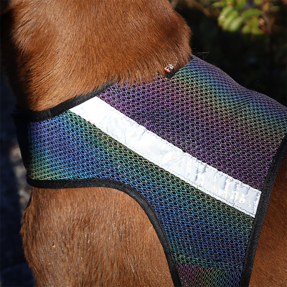 Glow reflective vest dog | Glowing in rainbow colors