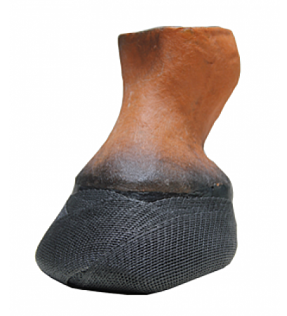 Equus - Hoof Cast - Hovcenter