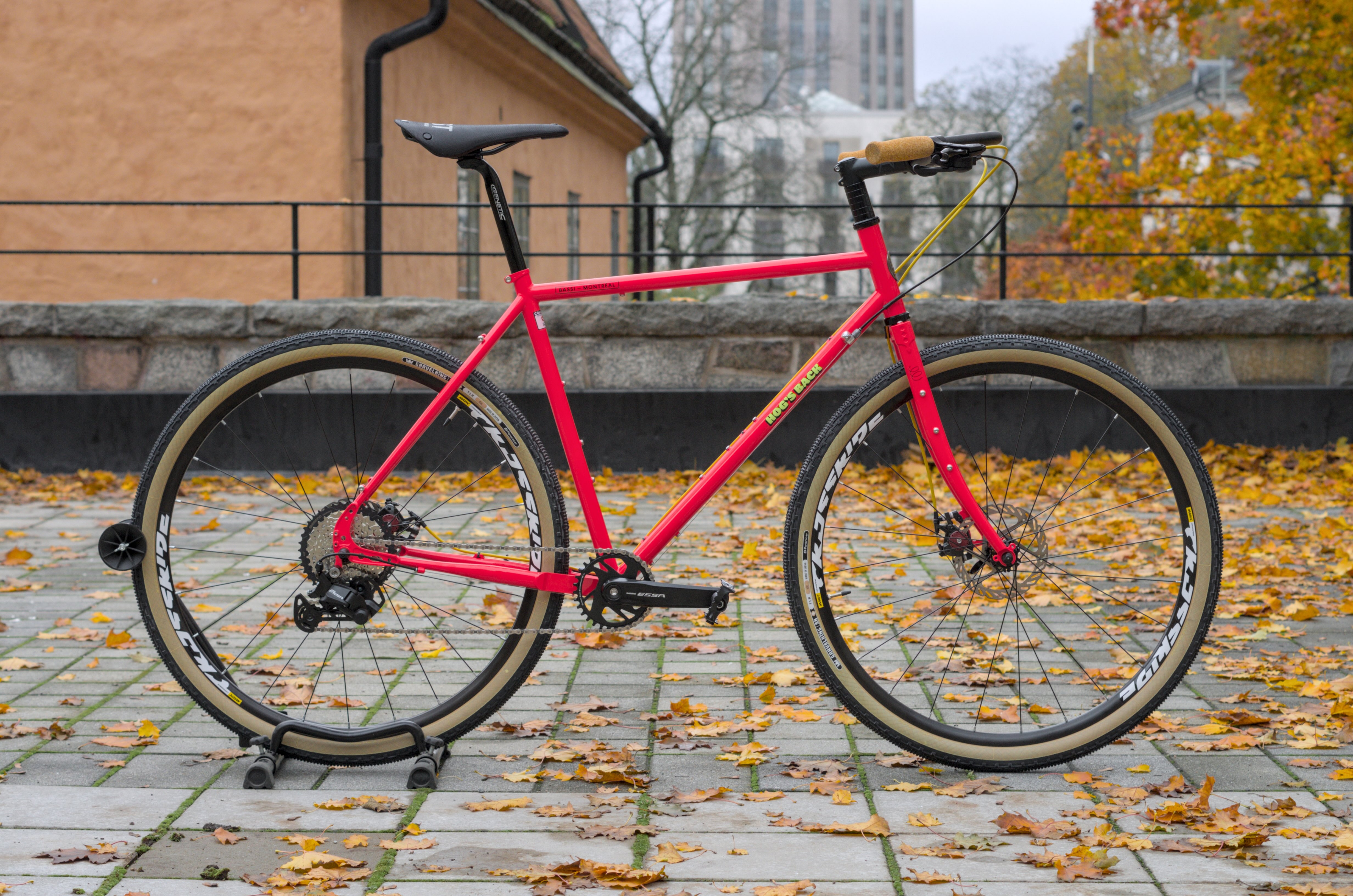 Bassi Hog's Back (L) Custom ATB Bicycle - Urban Bike Wear