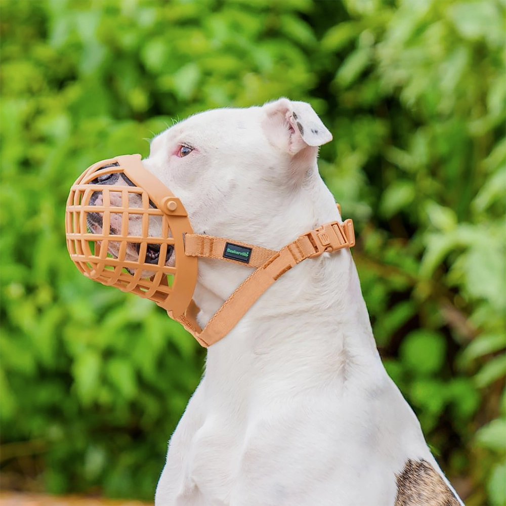 Baskerville Wide fit munkorg | Till hund med bred nos