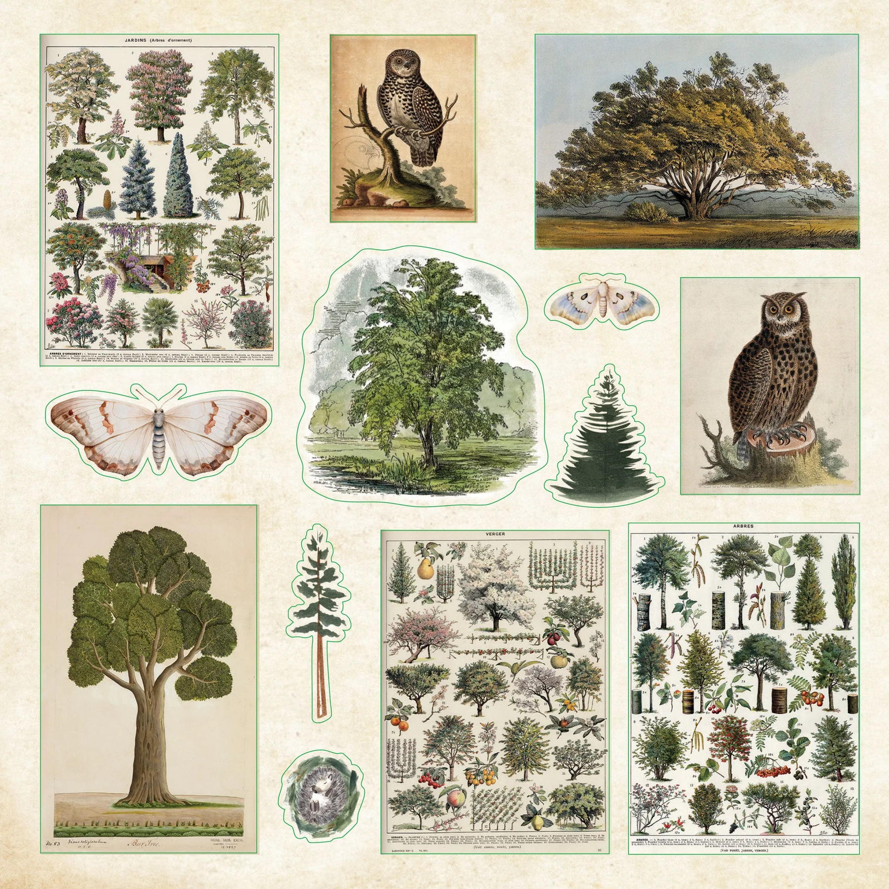 Enchanted Forest Sticker Book - paperme.se