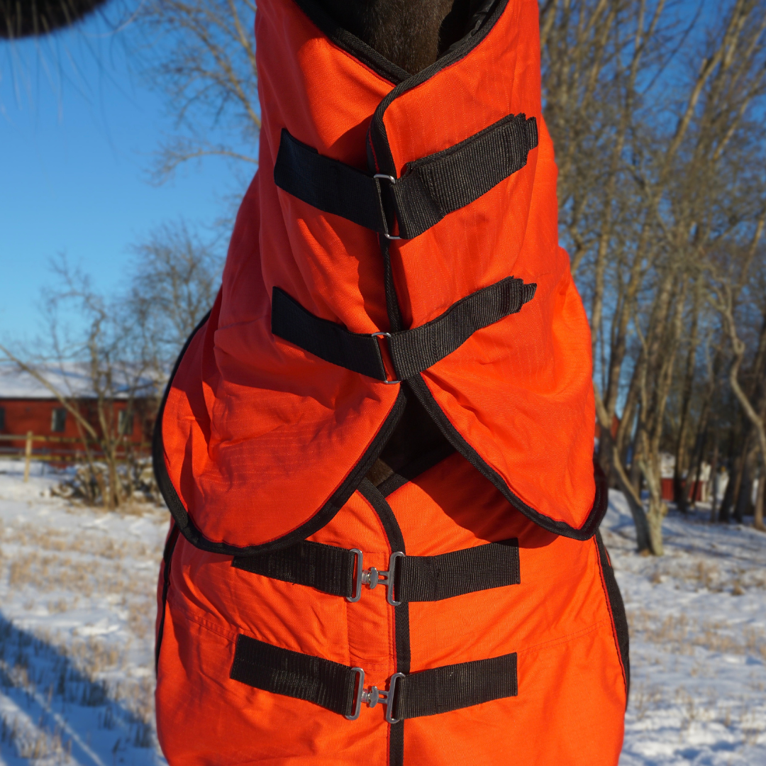 SWEDISH COLLECTION (LIPPO) 250GR OUTDOOR RUG 600D WITH REMOVABLE NECK ...