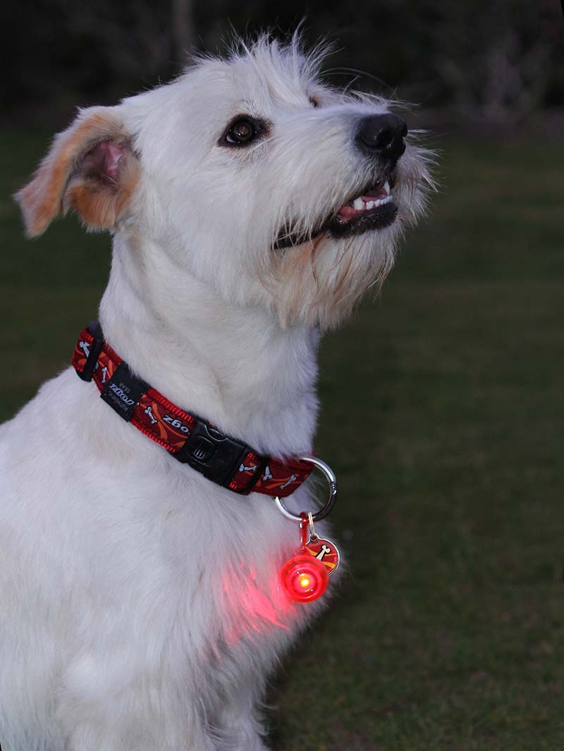 Rogz Roglite Safety light - Eskilstuna HundCenter