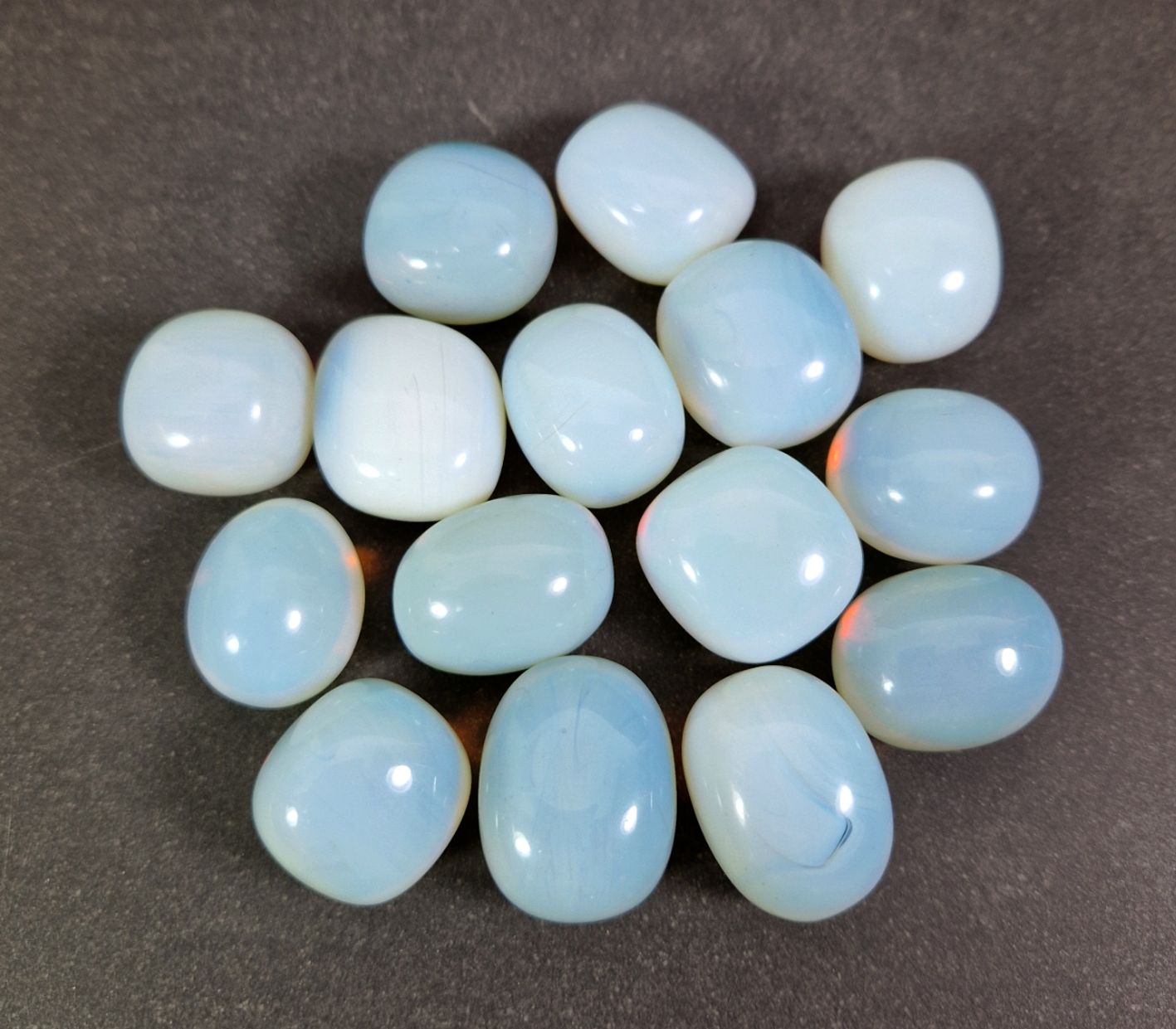 Stengarden.com - Opalit Trumlad, Krämig