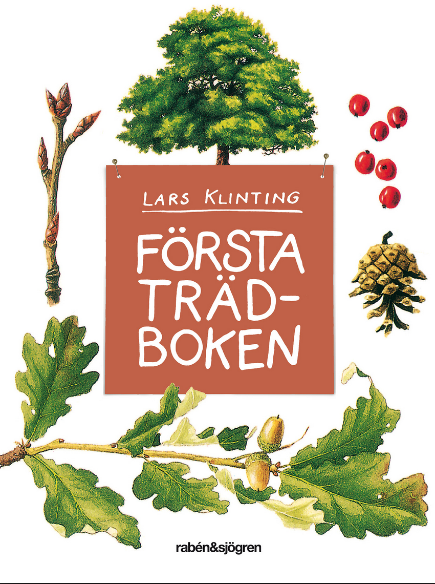 Första trädboken - en barnbok om vår natur