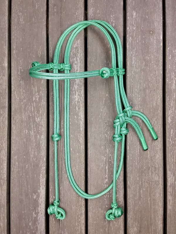 Rope bridle with rope halter tying - Pilgrimsrep