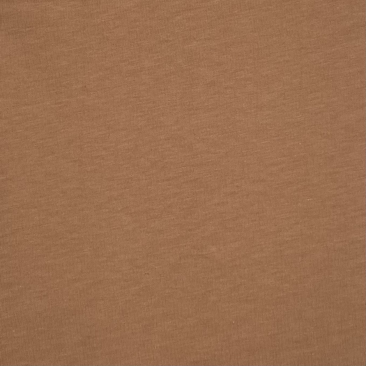 Single Jersey Beige - Rekotex