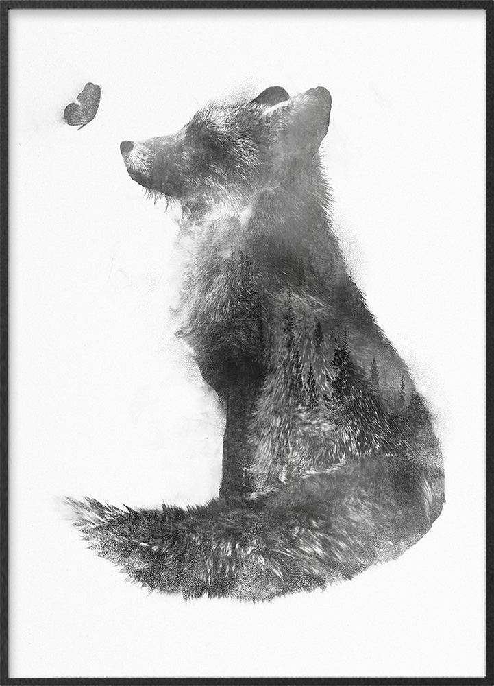 Fuchs trifft Schmetterling - Wildesmotiv™ | Einzigartige Poster mit Wildtieren, Beeren und Pflanzen