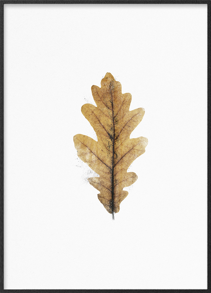 Eichenlaub - Wildesmotiv™ | Einzigartige Poster mit Wildtieren, Beeren ...