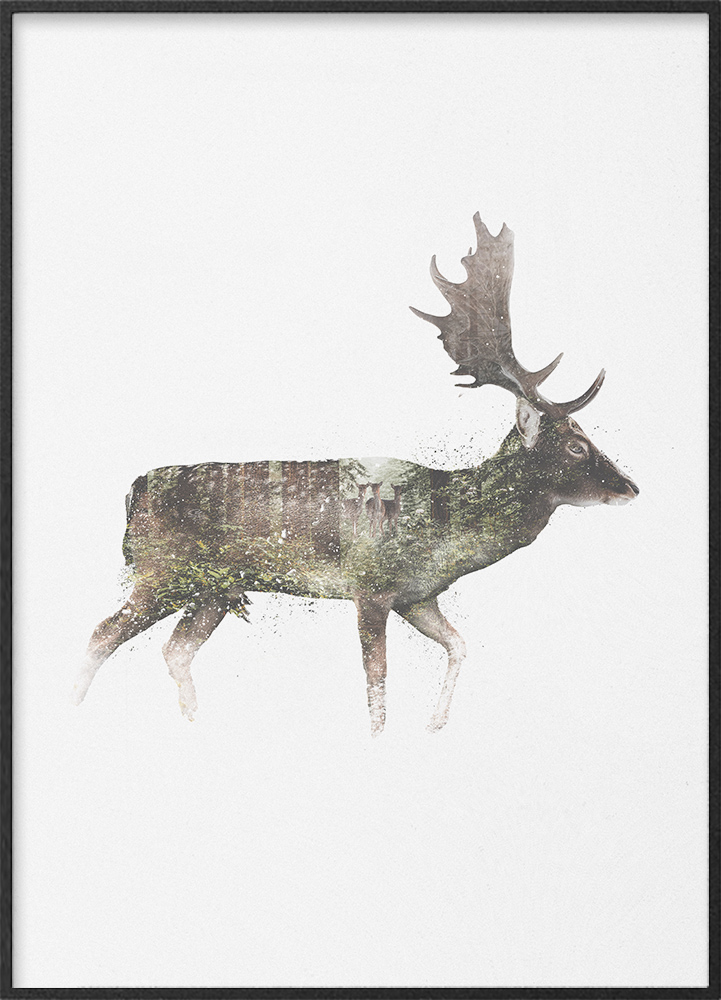 Dama Dama - Wildesmotiv™ | Einzigartige Poster mit Wildtieren, Beeren ...