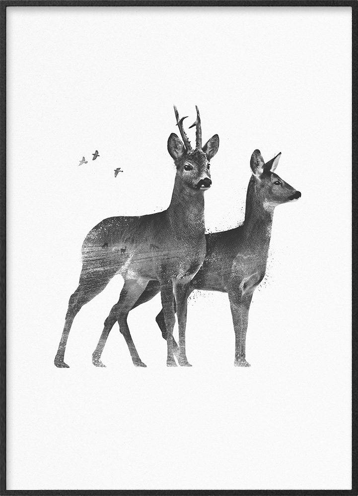 Reh-Paar - Wildesmotiv™ | Einzigartige Poster mit Wildtieren, Beeren ...