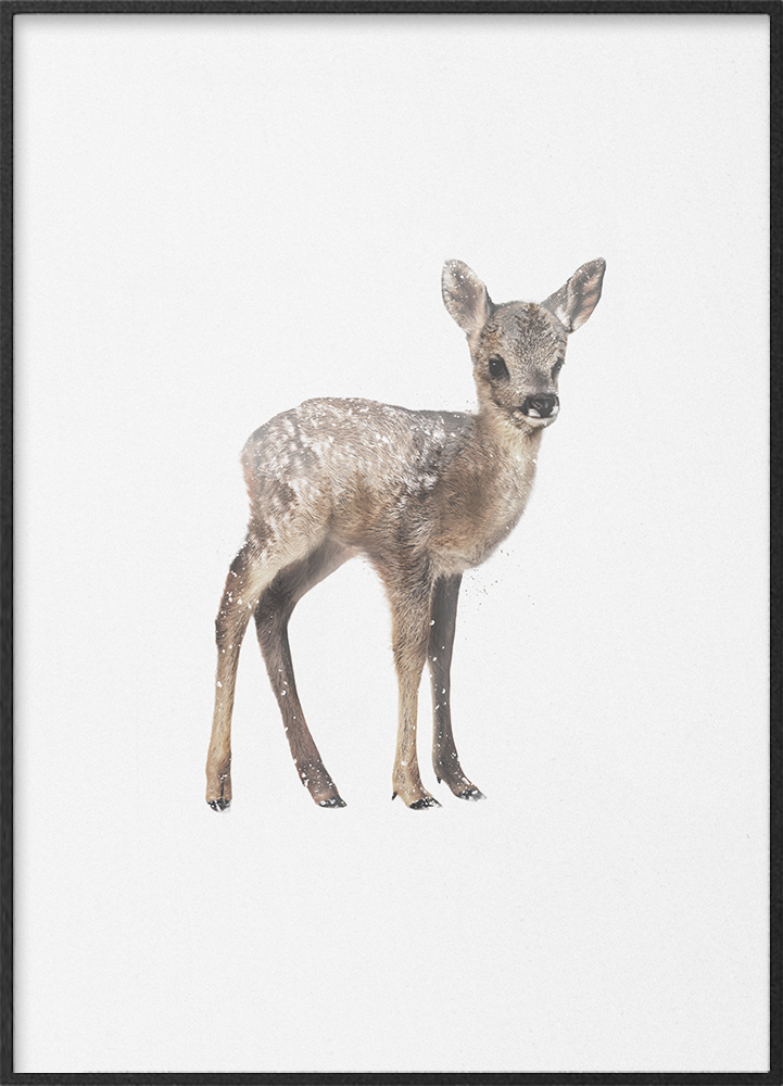 Rehkitze - Wildesmotiv™ | Einzigartige Poster mit Wildtieren, Beeren ...