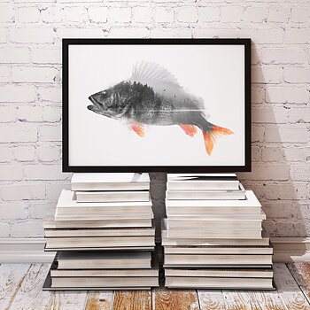 Einzigartige Fischposter mit stylischen Motiven | Wildesmotiv.de
