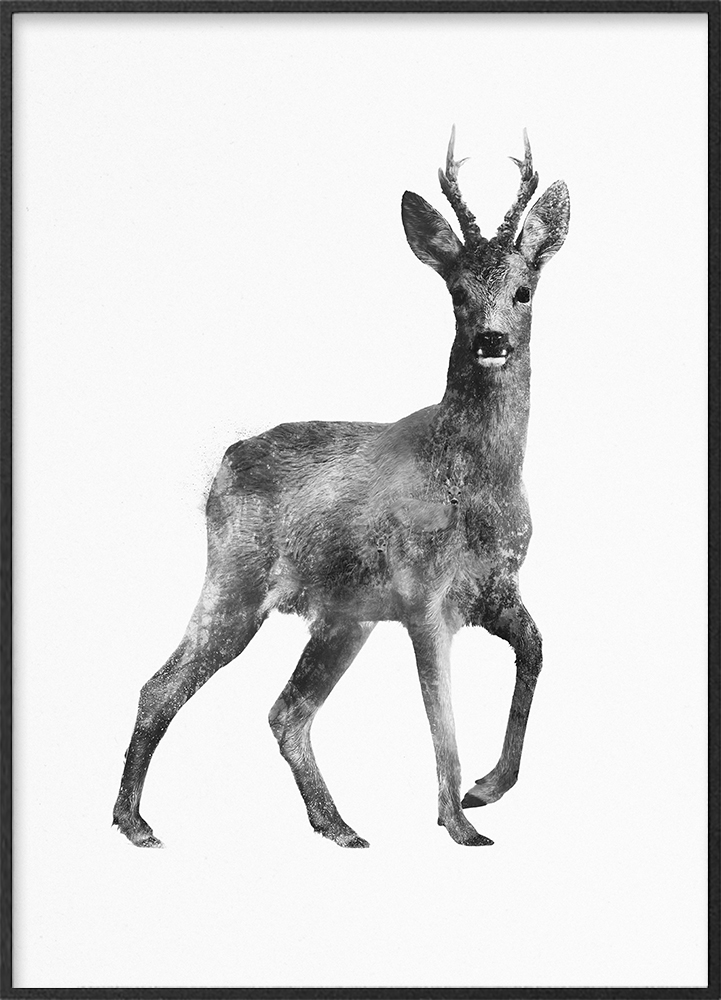 Reh-Familie - Wildesmotiv™ | Einzigartige Poster mit Wildtieren, Beeren ...