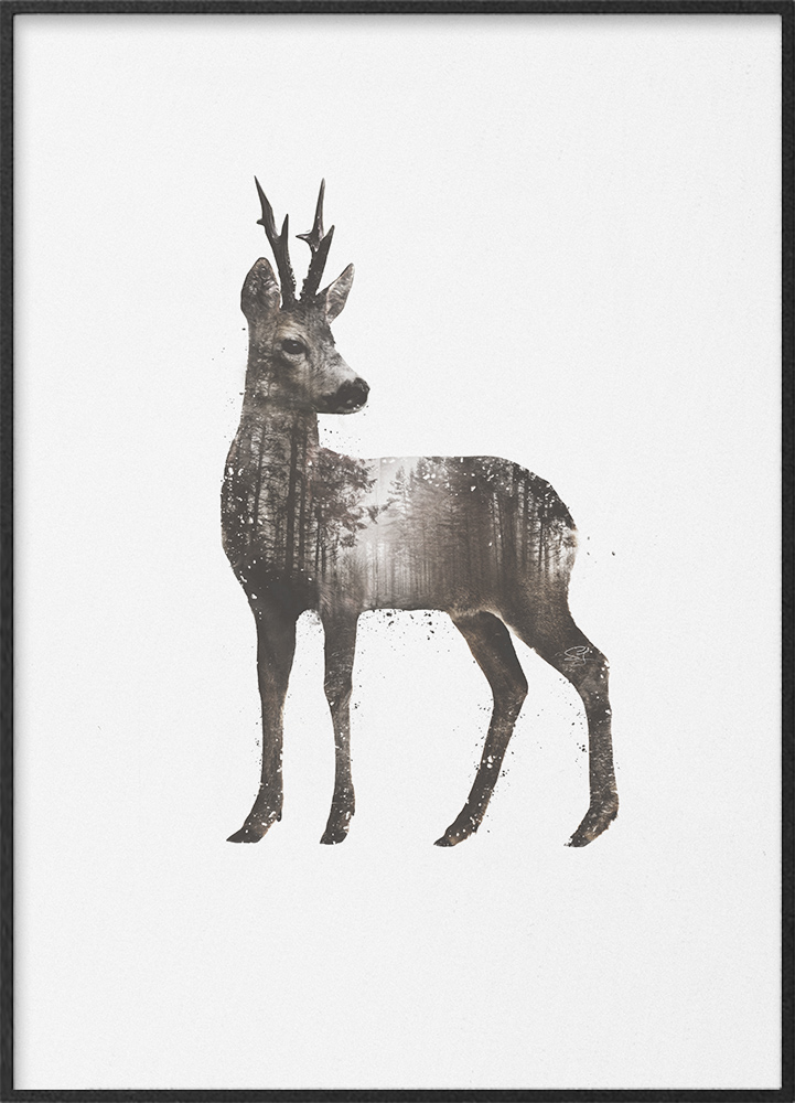 Rehbock von Wald - Wildesmotiv™ | Einzigartige Poster mit Wildtieren ...