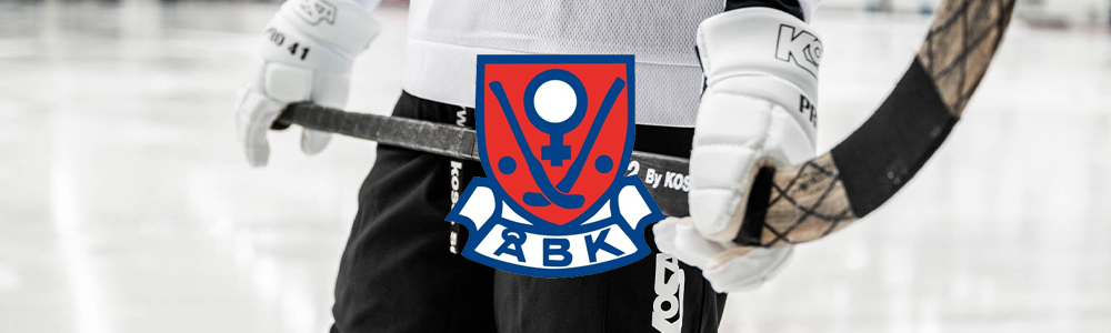 Åtvidaberg Bandy - Team Sportia Motala