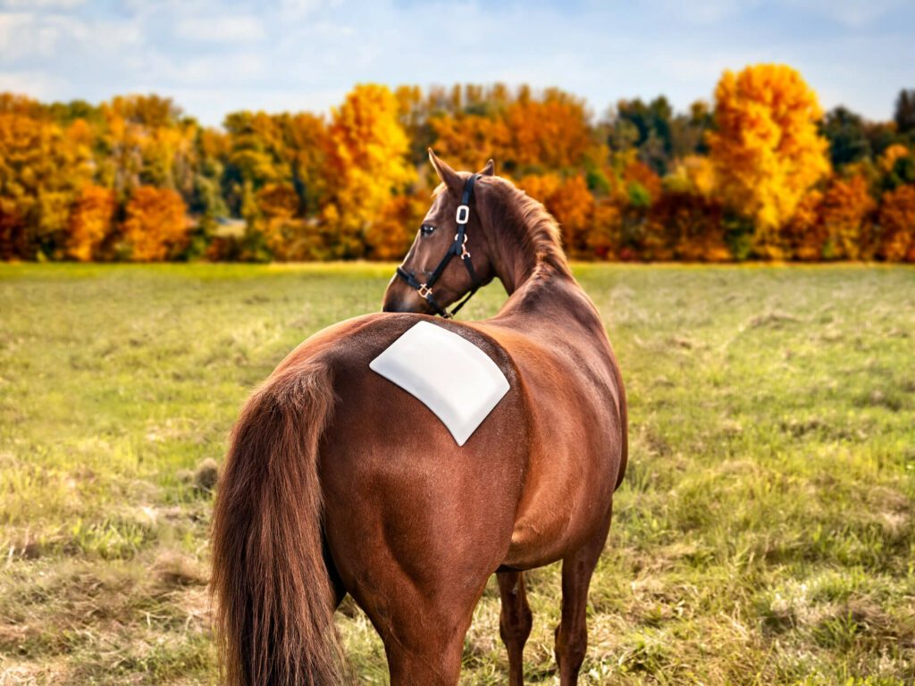 VetProvide - Snögg Animal Polster 22x200cm klisterhäftande foam