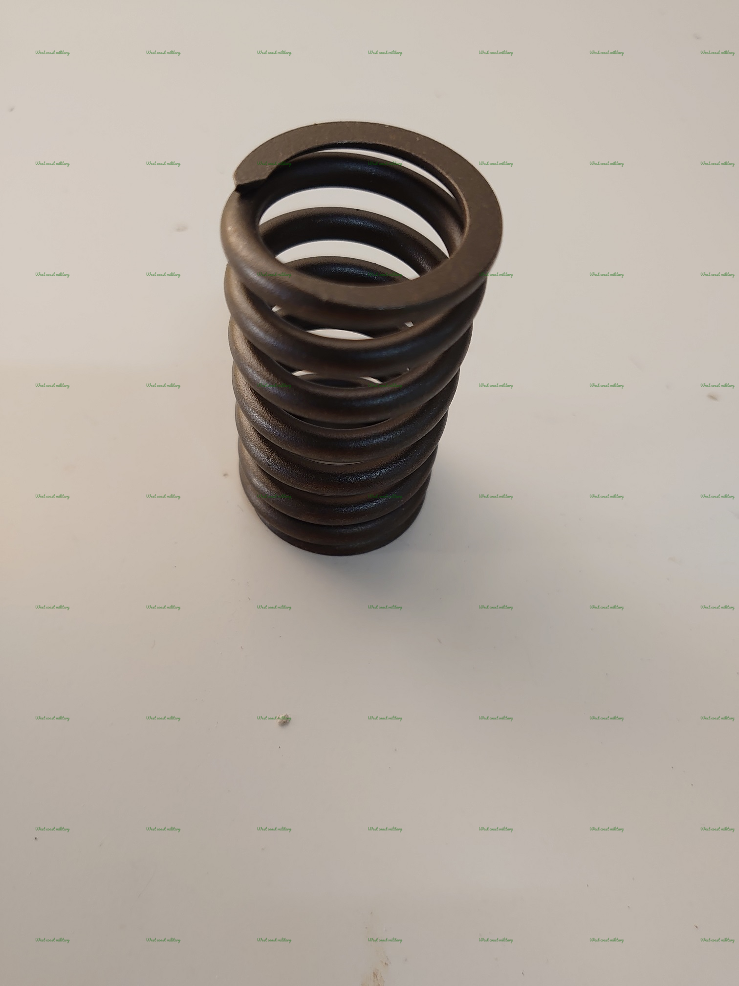 Valve Spring - West coast military