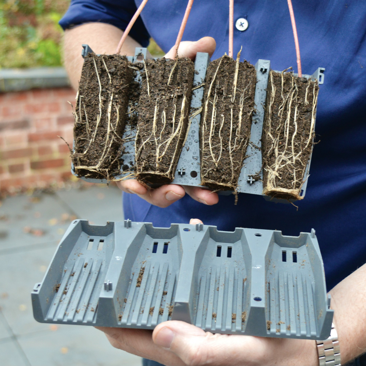 Komplett Minidrivhus - Deep Root - 28 Pluggceller - Fröbanken