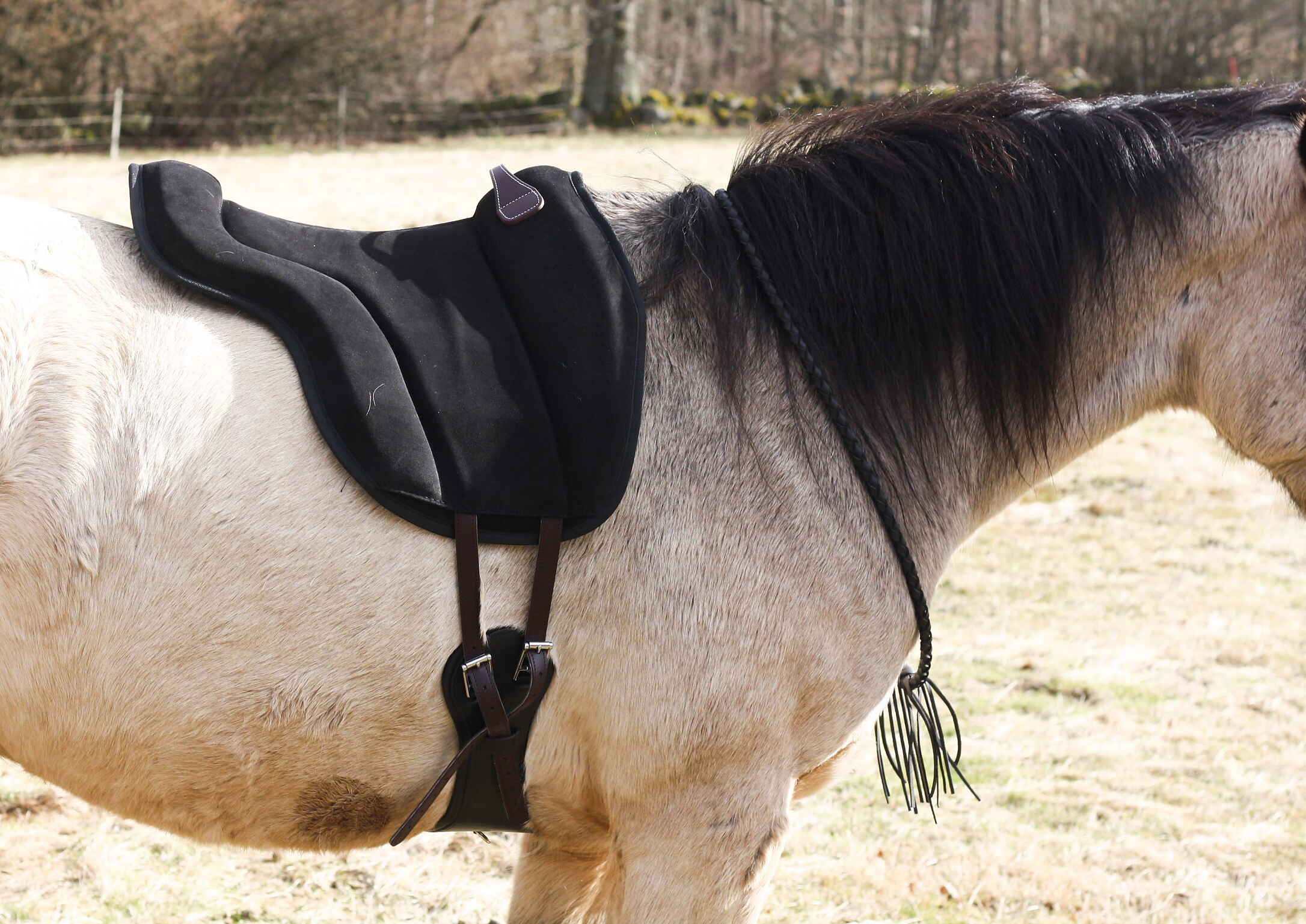 200. Barbackapad - Brockamp Spezial - Kapson.se