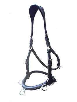 Cavessons - Kapson Equestrian