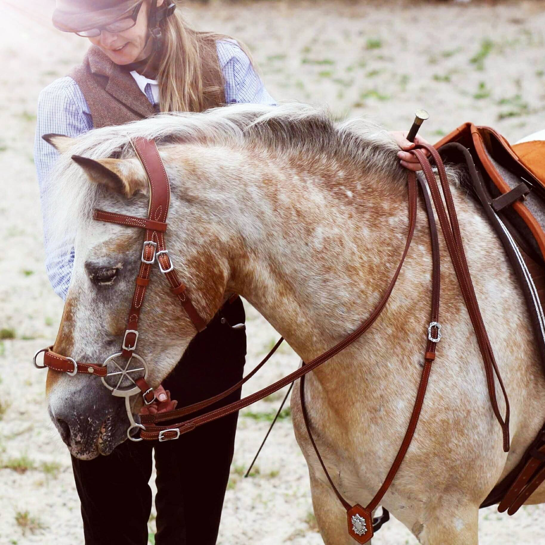 280. LG Bridle - Wheels - Kapson.se