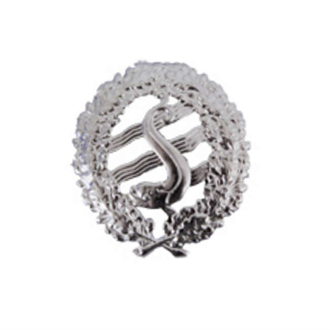 Lane 4 - Silver Magistrate Badge Pin