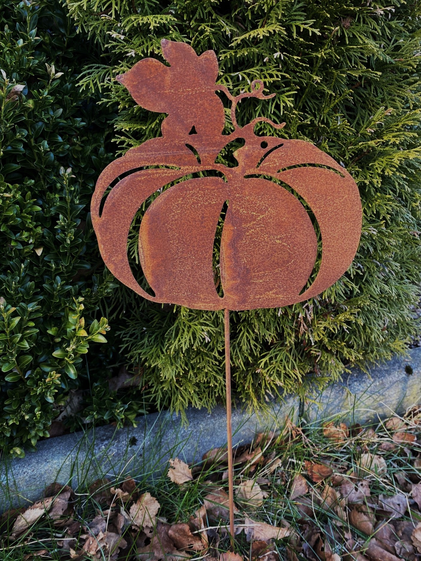 Pumpa rund/12 ST PER FÖRP - Lind Decoration