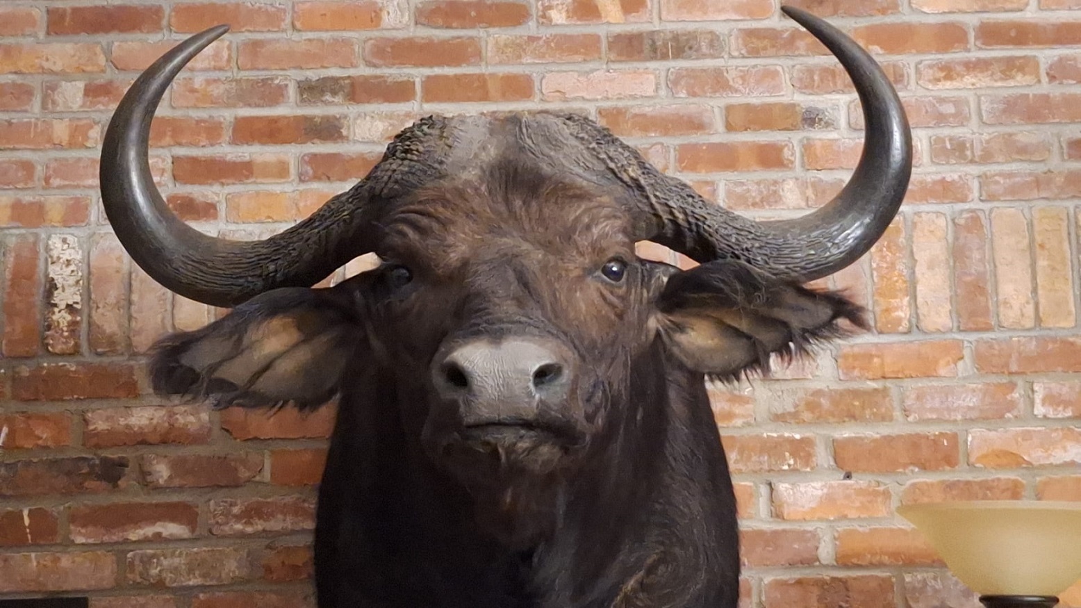 Customer Reviews - North Fork Bullets USA